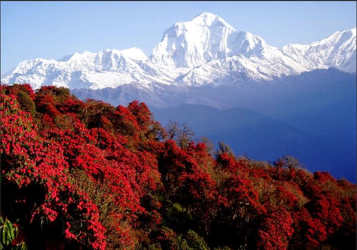 Gufa Pokhari : An Attraction of Eastern Nepal