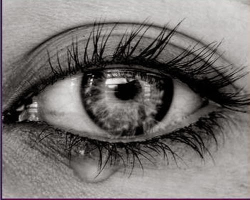 TERRA REAL TIME: LACRIME VISTE AL MICROSCOPIO RIVELANO UNA SORPRESA