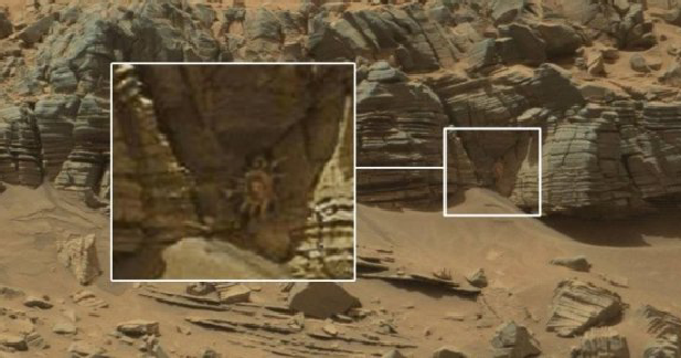 Alien Spider? Mysterious Object Found On Mars
