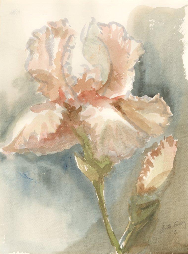Anita Ewing Watercolors - and other media