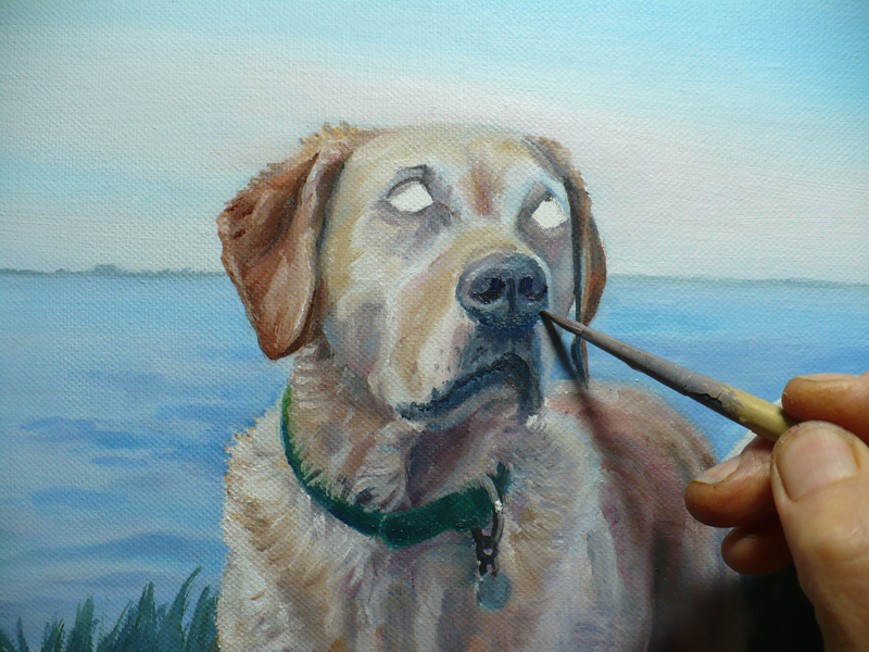 Zeh Original Art Blog Watercolor and Oil Paintings: Yellow Labrador ...