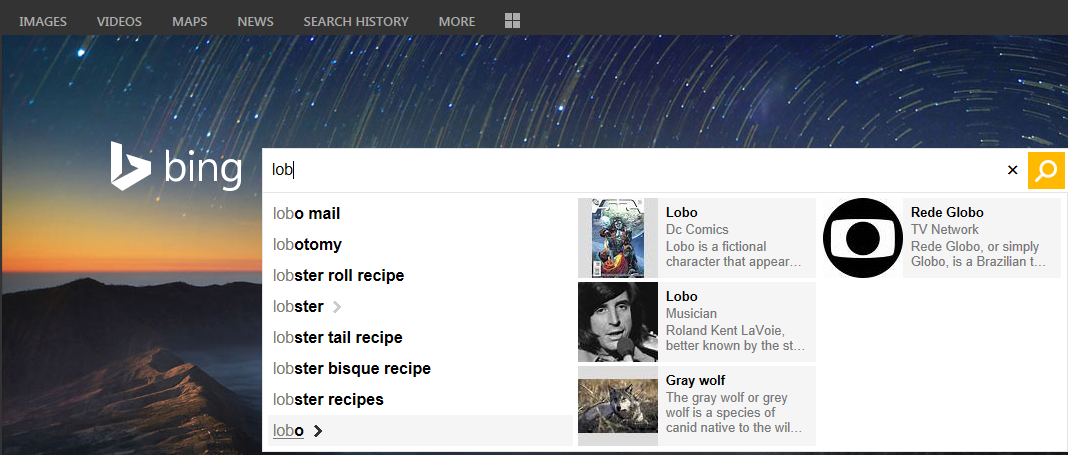 Hodentek: Brand new look of Bing