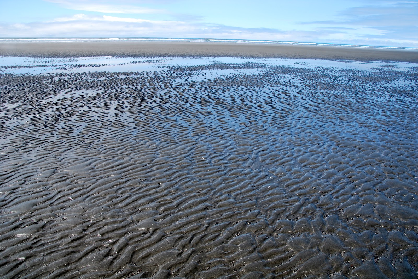 Wanderlust Traveler: Pacific Beach, Washington (Lodging, Dining, and ...