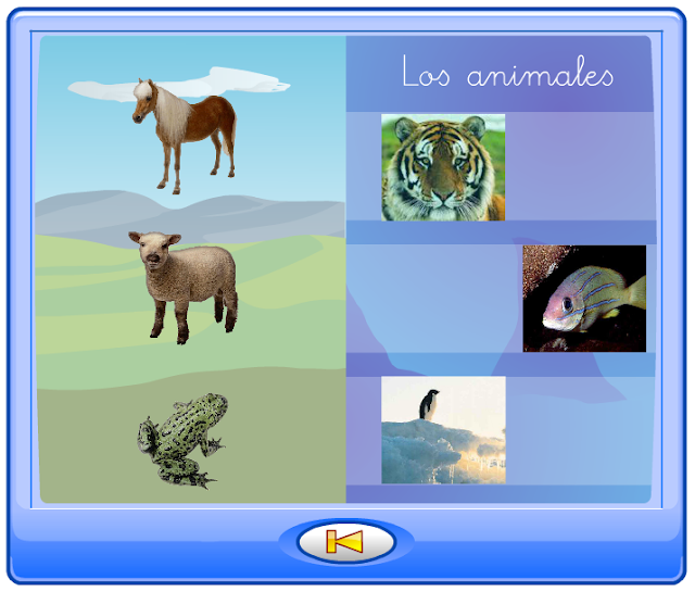 Ludipeques: Los animales