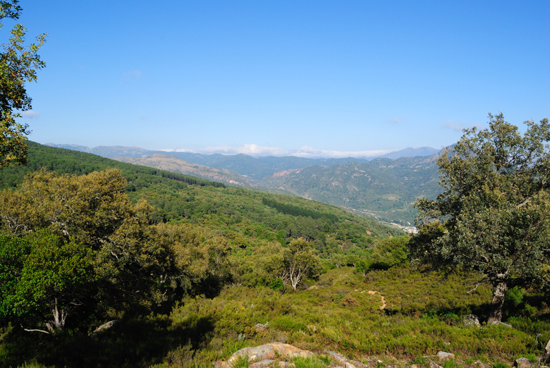 Estación de Gaucín - El Colmenar: PARQUE NATURAL DE LOS ALCORNOCALES