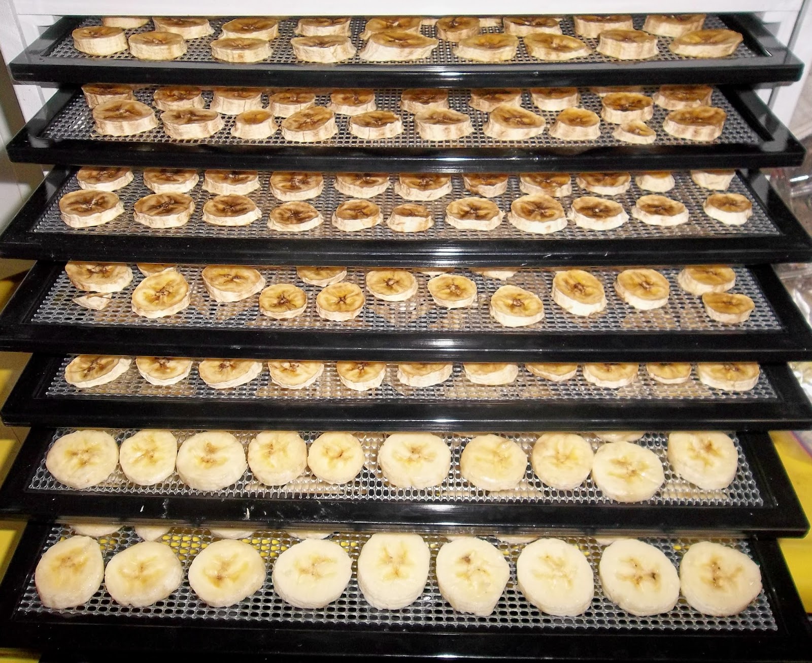 PRACTICAL PARSIMONY: Bananas Everywhere