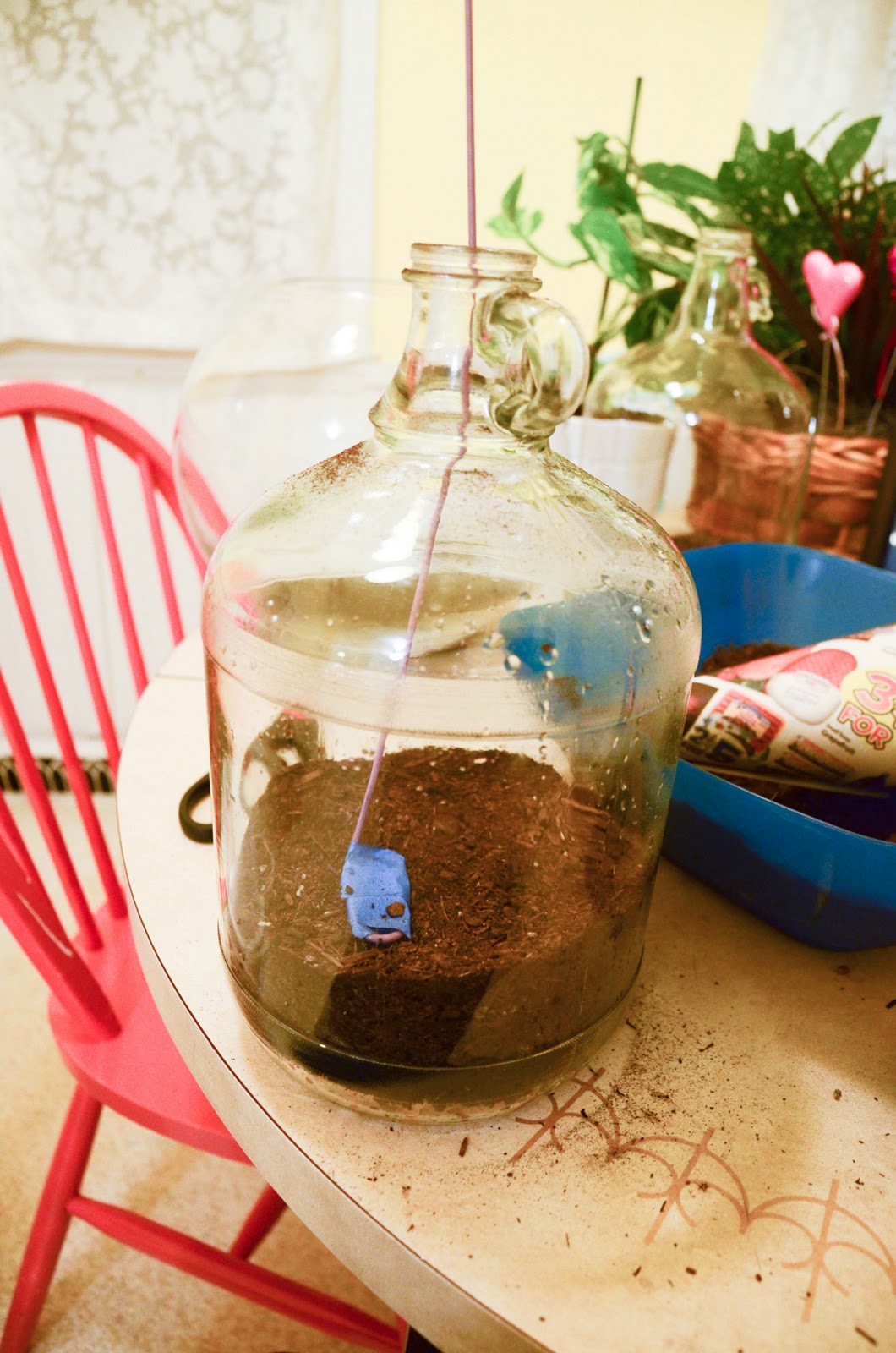 KATYCONFESSIONAL: Terrarium Tutorial