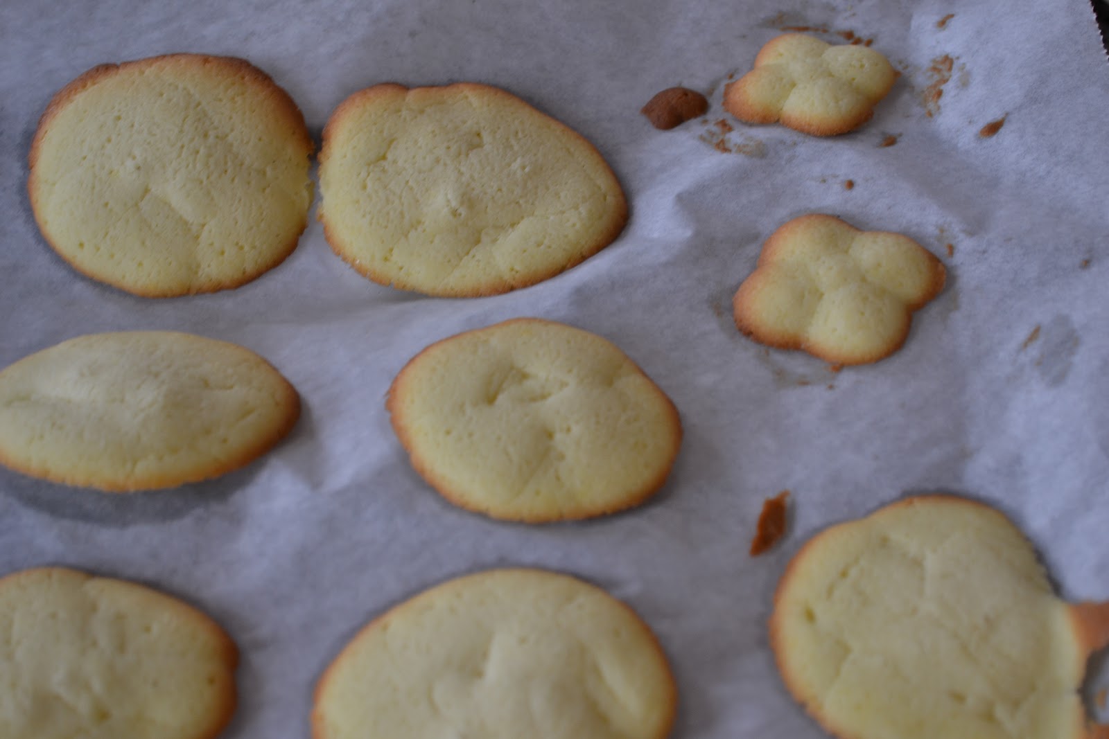 L'Ape ILE alla scoperta della SPARABISCOTTI! - Penso Invento Creo