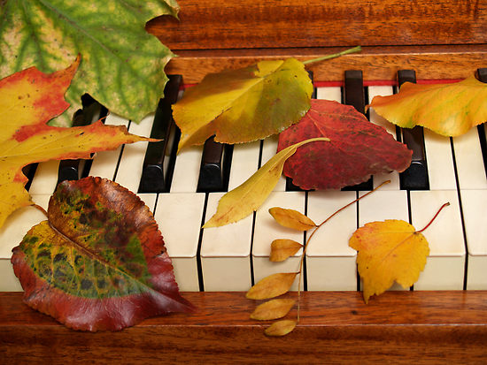 Accidental Piano Teacher: Getting ready for fall