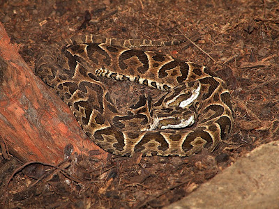 Uruguay's wildlife & Natural sanctuaries - Santuarios naturales & flora ...