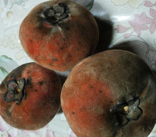 OUR PHILIPPINE TREES: How to Eat Mabolo without the Added Fuzz