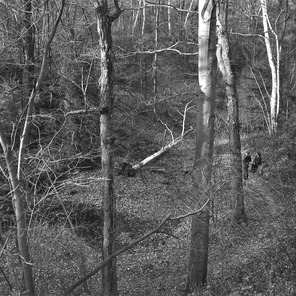 Steven D. Foster ~ Photographs : The Departing Landscape website ...