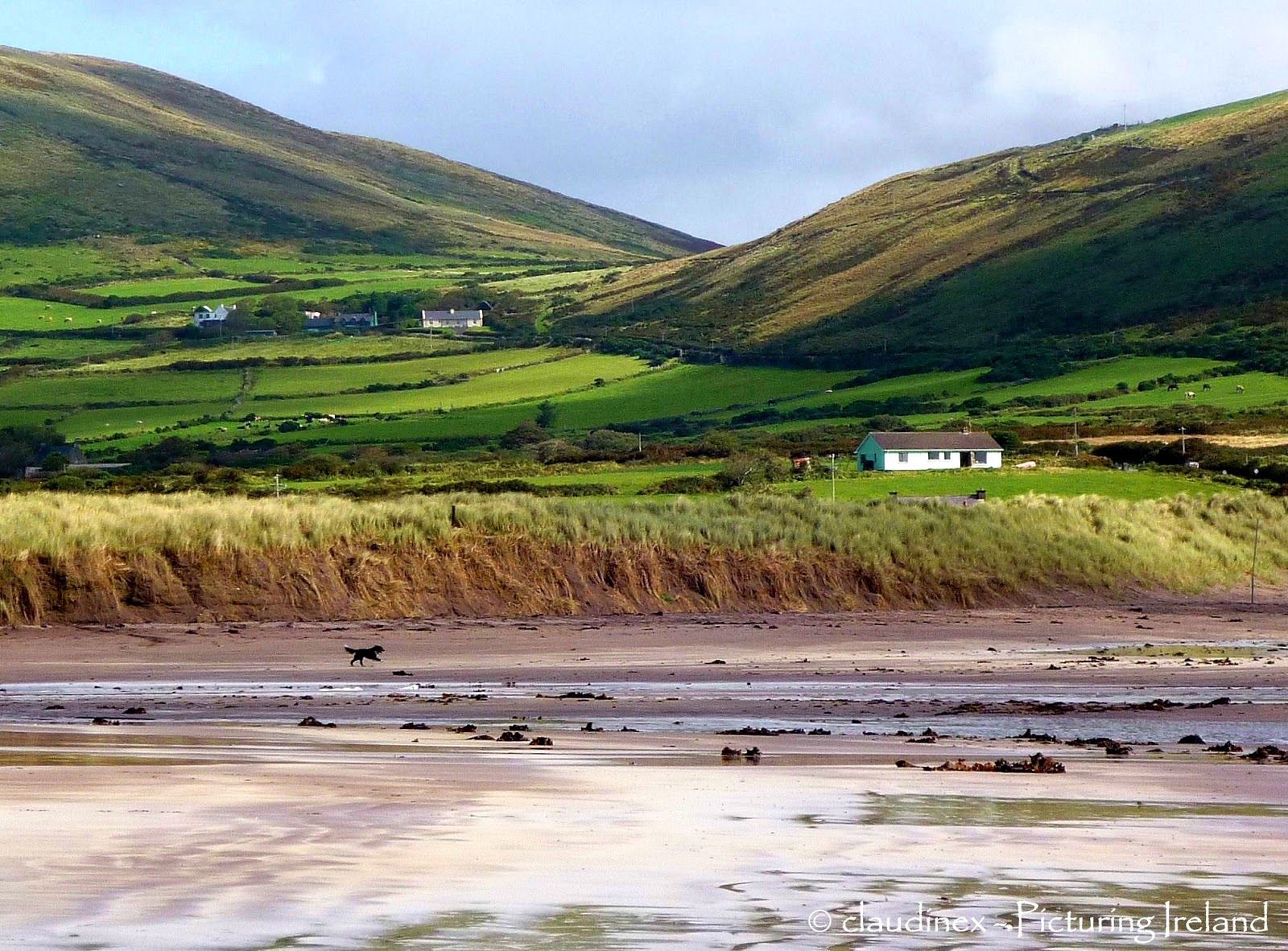 Picturing Ireland : The Battle of Ventry, Co. Kerry