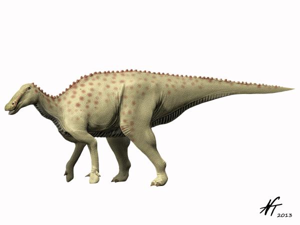 Spinops: Elrhaz Formation