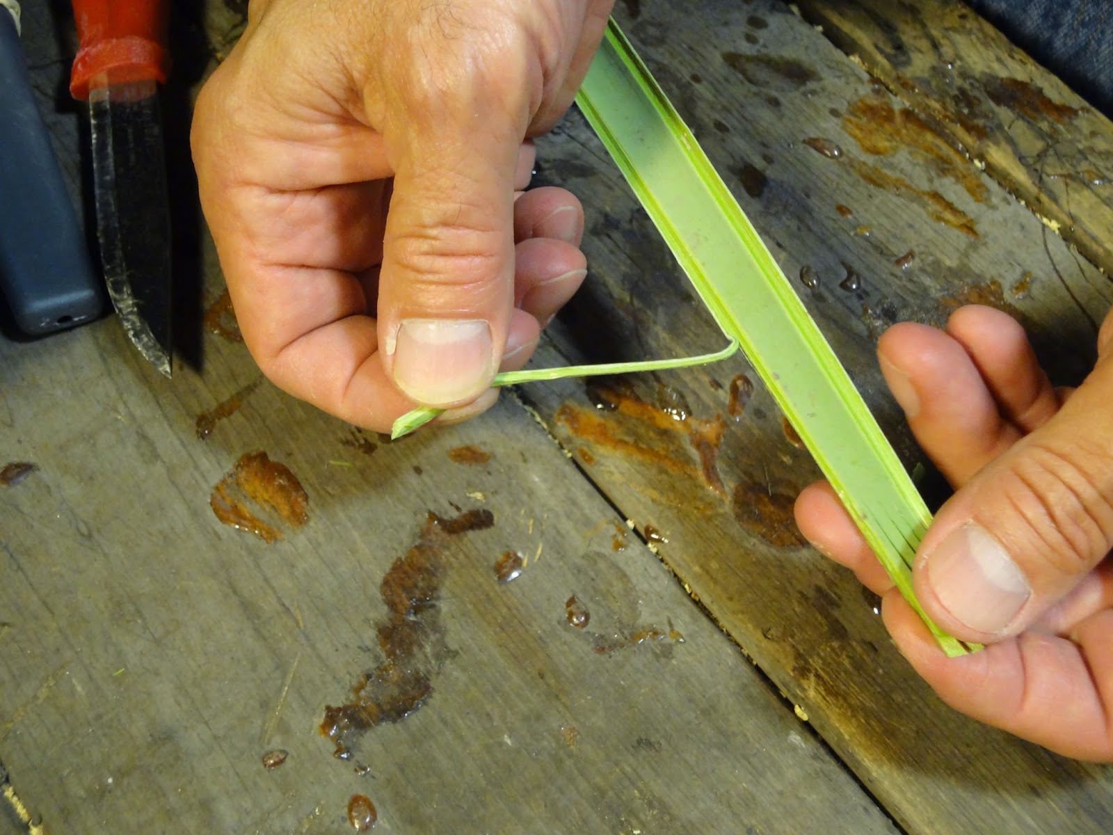 Woods Roamer: How to Make Quick Cordage