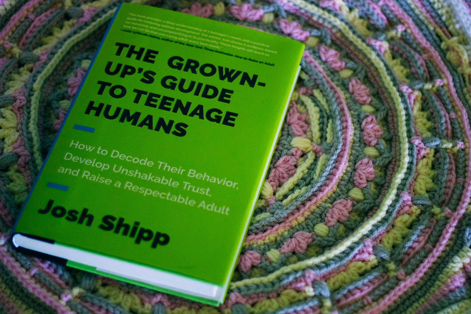 Diary of a Stay at Home Mom: The Grown Ups Guide to Teenage Humans by ...