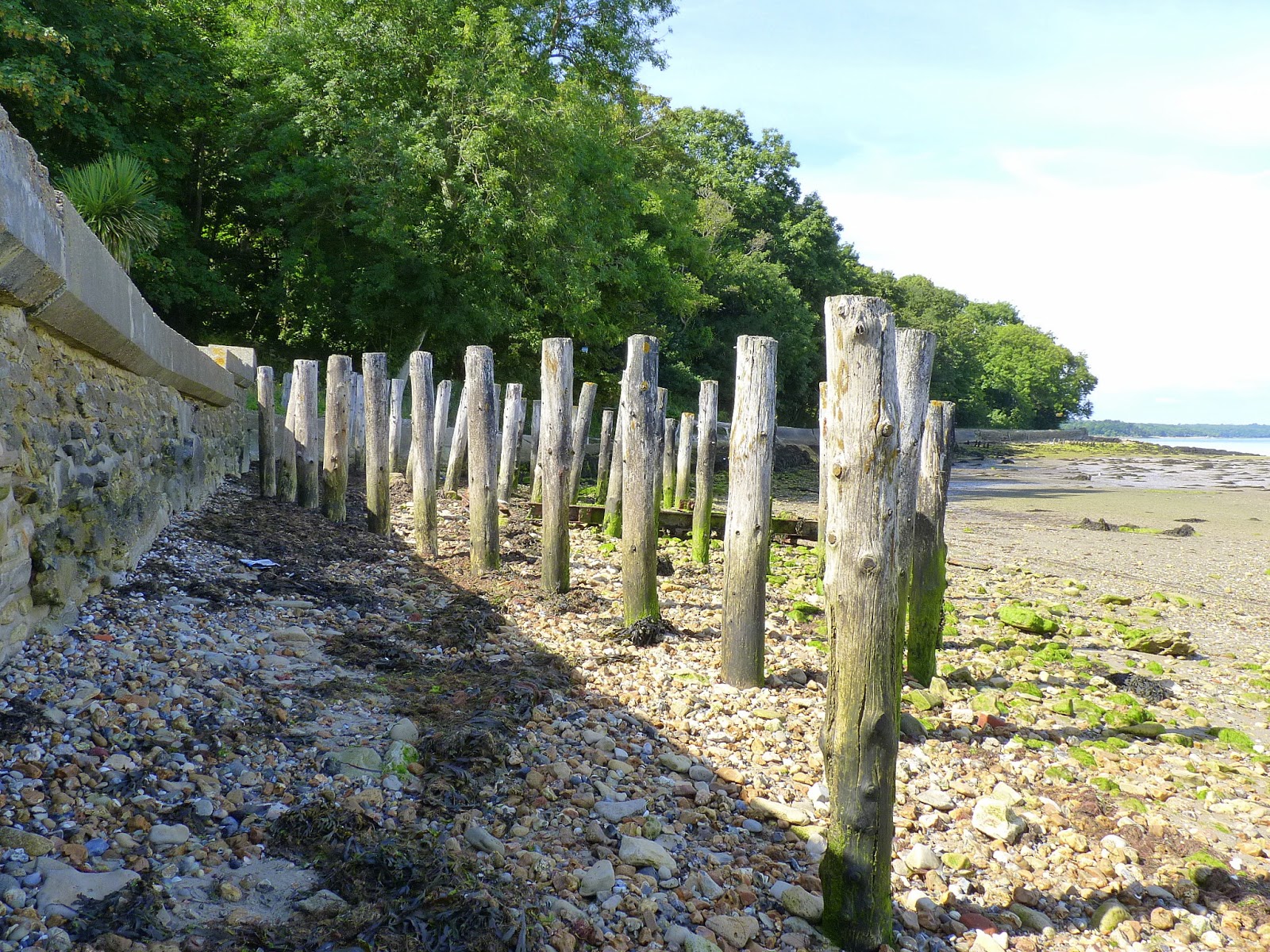 Birding For Pleasure: Birds and Binstead Beach