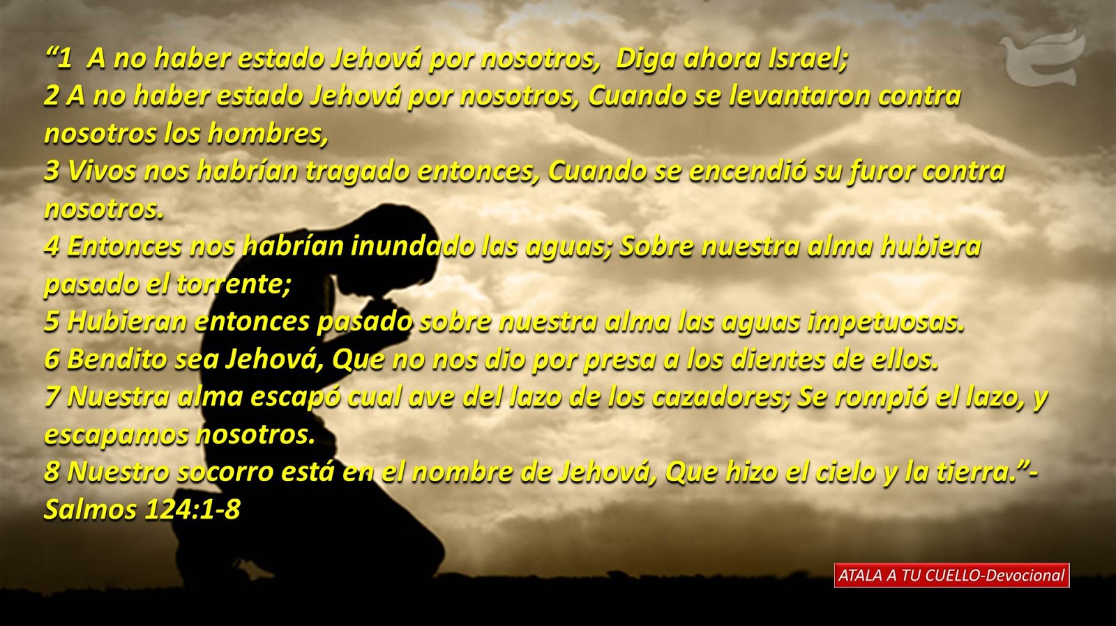 ATALA A TU CUELLO Devocional: enero 2016