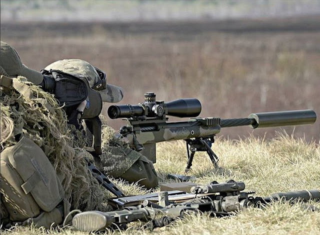 Arms ID'ed: PGW C14 Timberwolf MRSWS