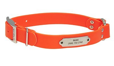 Hunting dogs collars: features and price