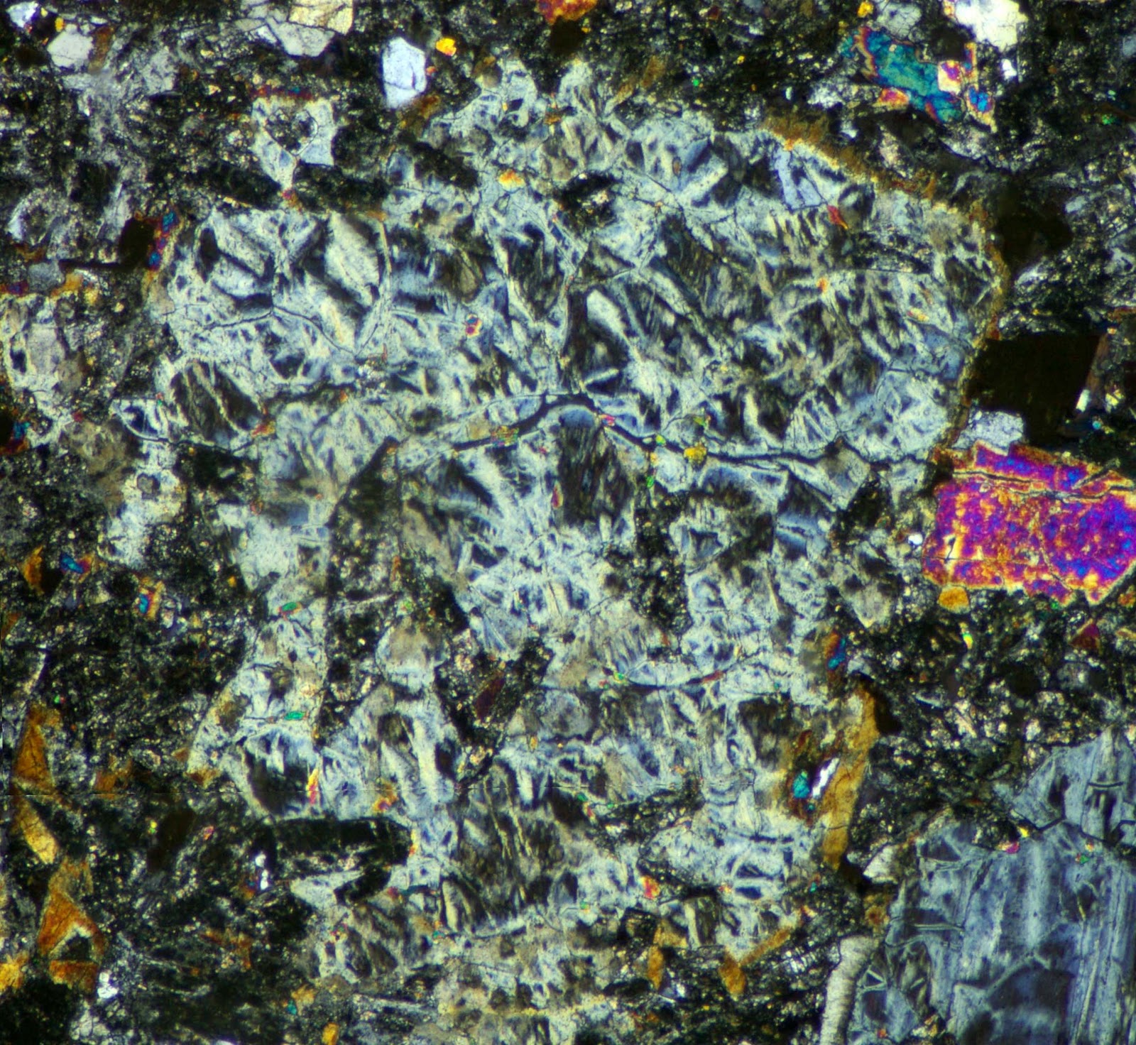 Metabasites: Pseudomorphs after pyroxene in greenstone