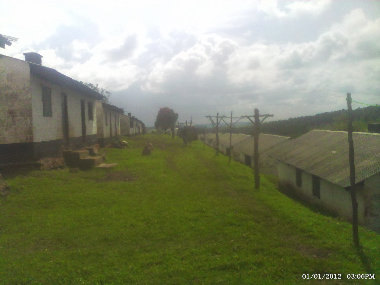 MEGAPHONE PHOTOGRAPHERS: Workers Housing On THe Tea Estates Of Kericho ...