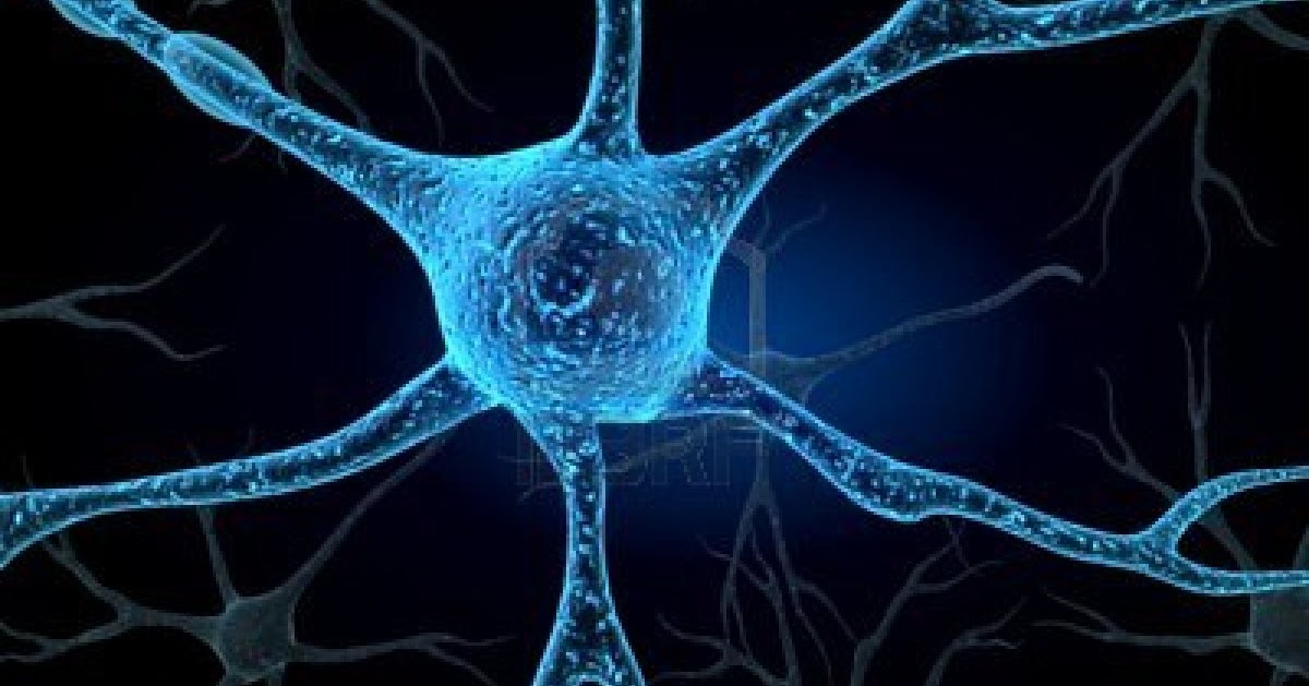 relazionipersonali: Le caratteristiche dei neuroni