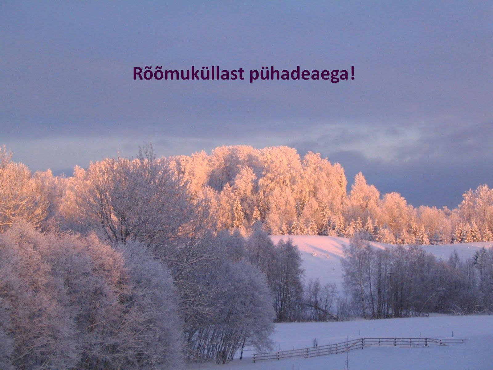 ARULA KÜLA TÄNA: Häid pühi!