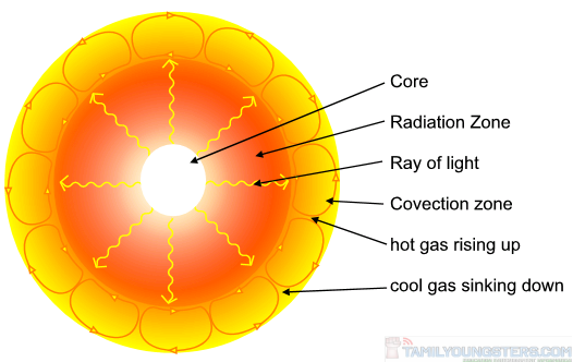 What’s inside the Sun? - Amazing Fact you Need to Know