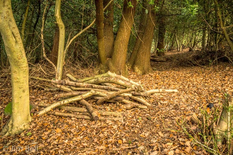 Out & About: Fritchley Windmill