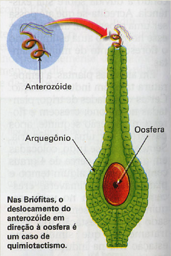 Biologia On Line: Setembro 2012