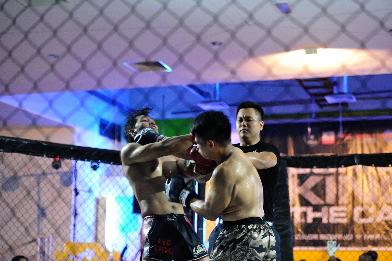 Warriors of Borneo blog: BORNEO KING OF THE CAGE