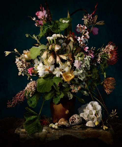 Mis galgas, yo y the ruby slippers: ANDREW PUTTER. Fotografías.