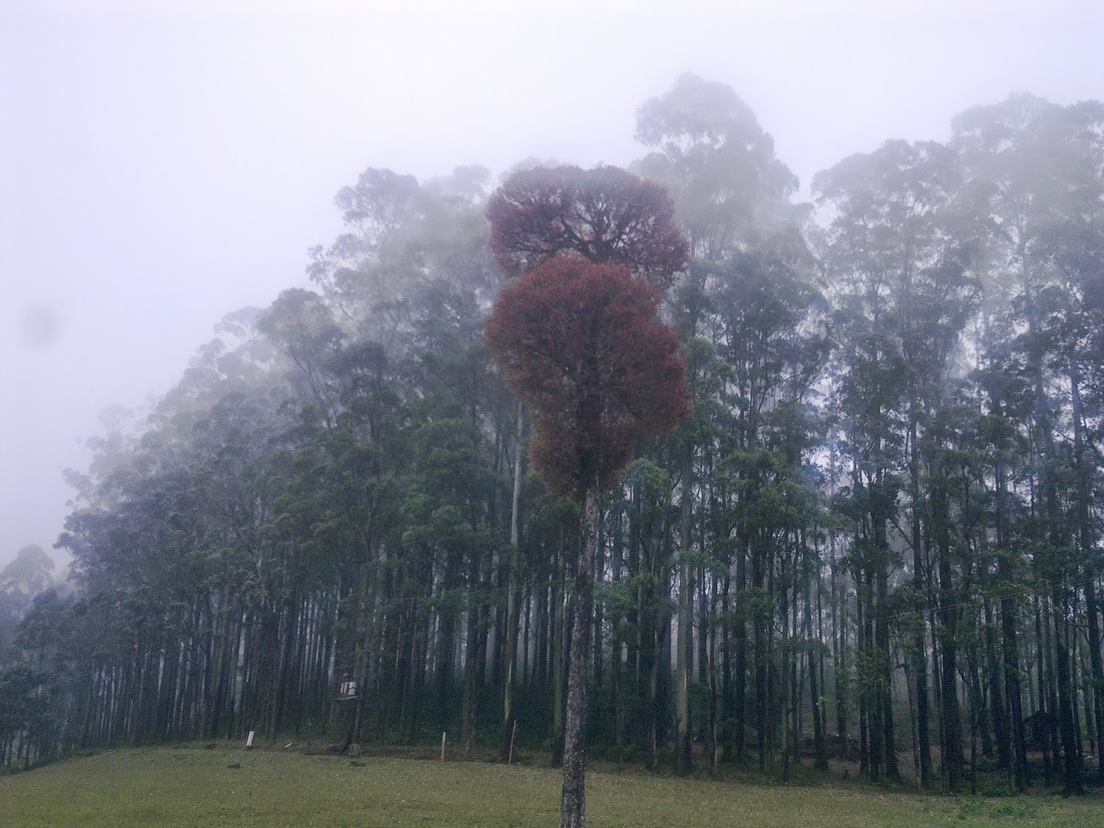 Srinivazen: Manimuthar falls, Kakachi, Manimuthar dam, Kuthiravetti tour