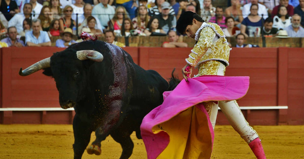 The Truth About Bullfighting