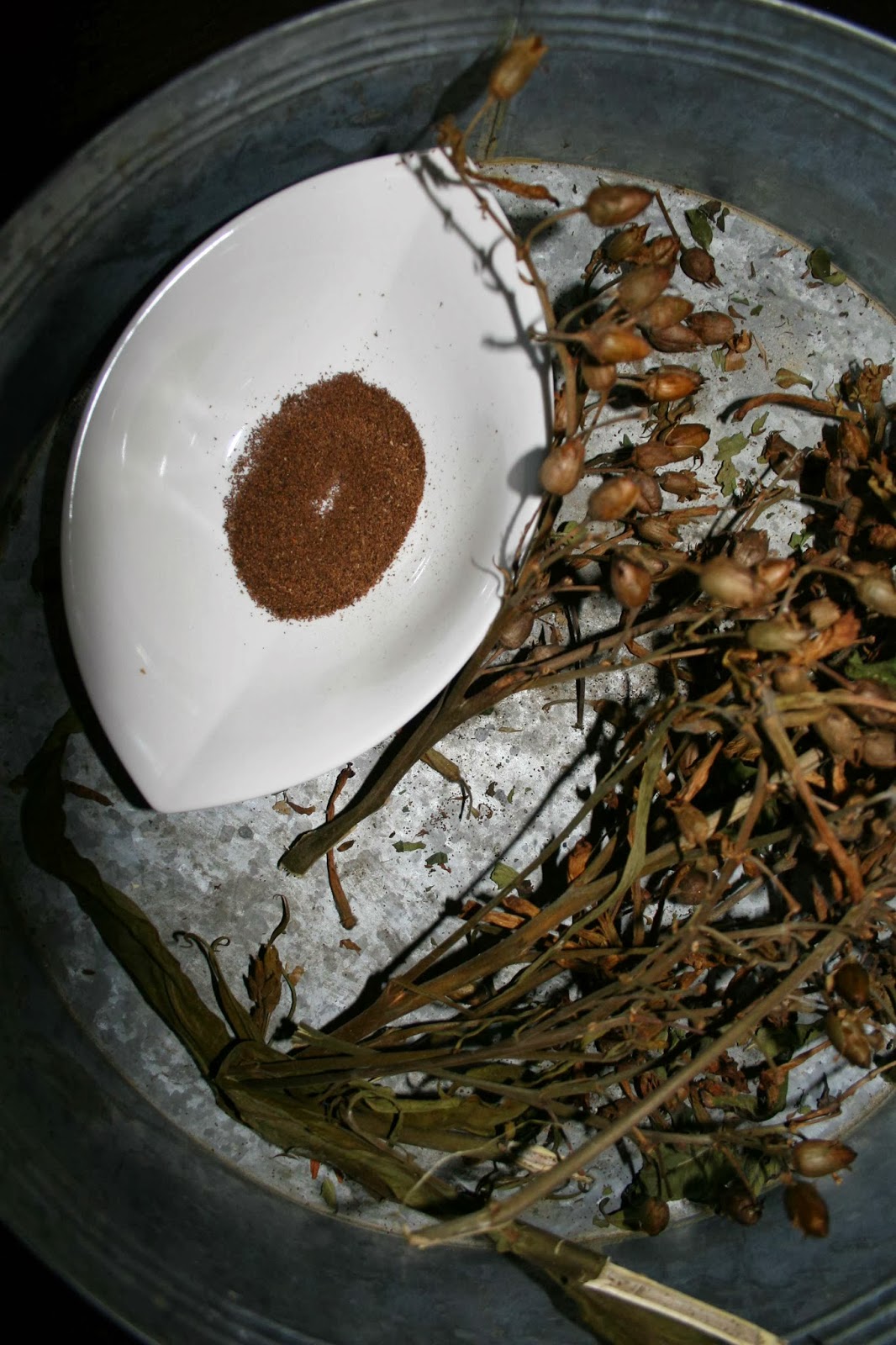 HIŠA Z VRTOM: TOBAK-NARAVNI INSEKTICID