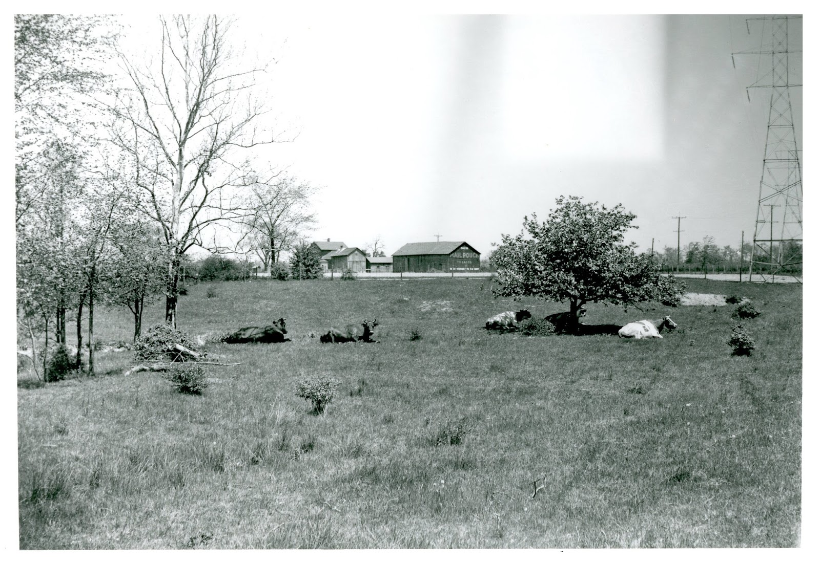 Brady's Bunch of Lorain County Nostalgia: A Farm Mystery Solved – Part 3 Brady's Bunch of Lorain County Nostalgia: A Farm Mystery Solved – Part 3