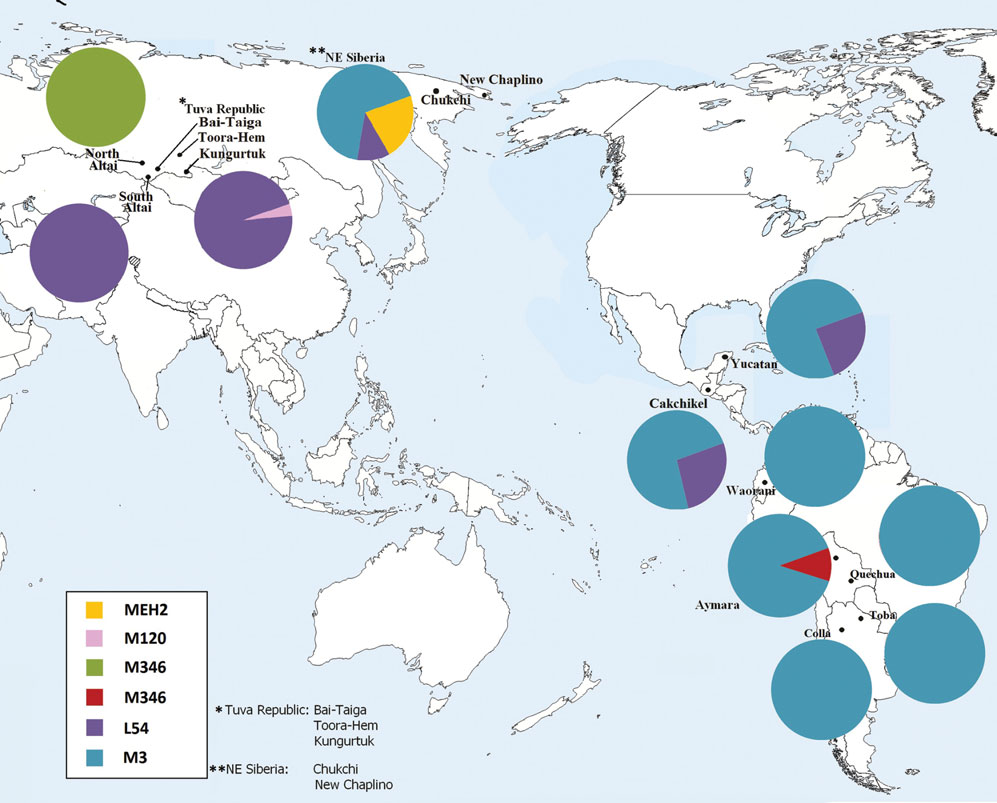 Dienekes’ Anthropology Blog: Y-haplogroup Q and Native American origins ...