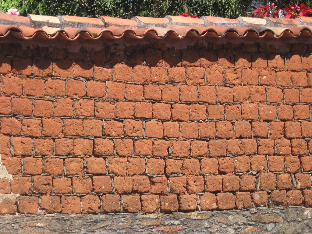 Pirenópolis: O tijolo de adobe