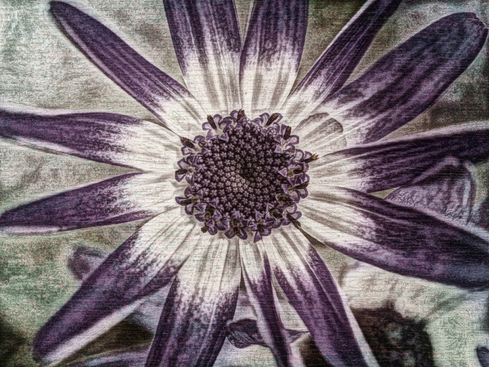 20 downloadable random free pictures for commercial use