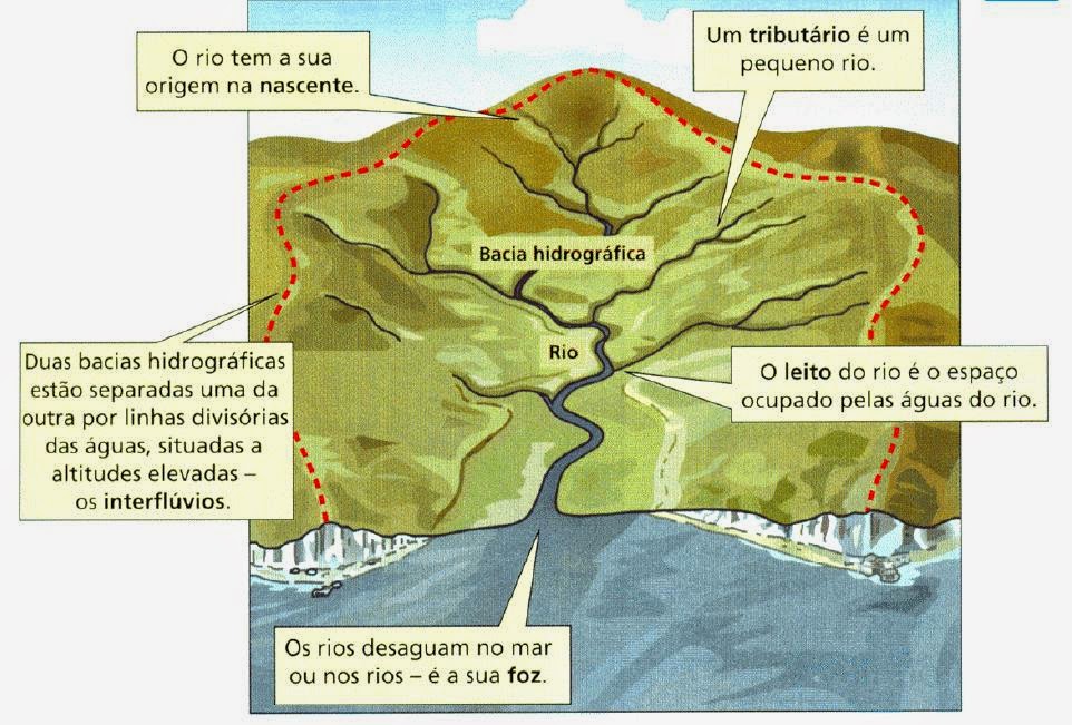 De Qual Bacia Hidrográfica O Rio Doce Faz Parte - BRAINCP