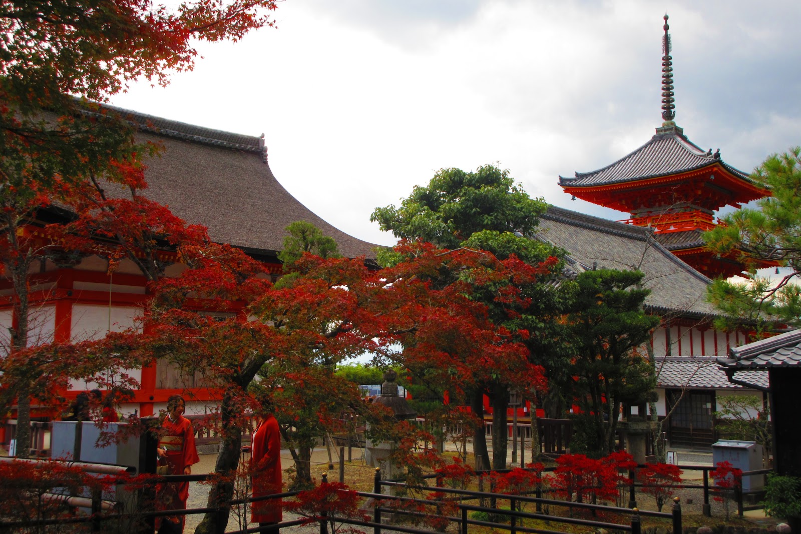 How to Use Your Kansai Thru Pass - The Wandering Juan