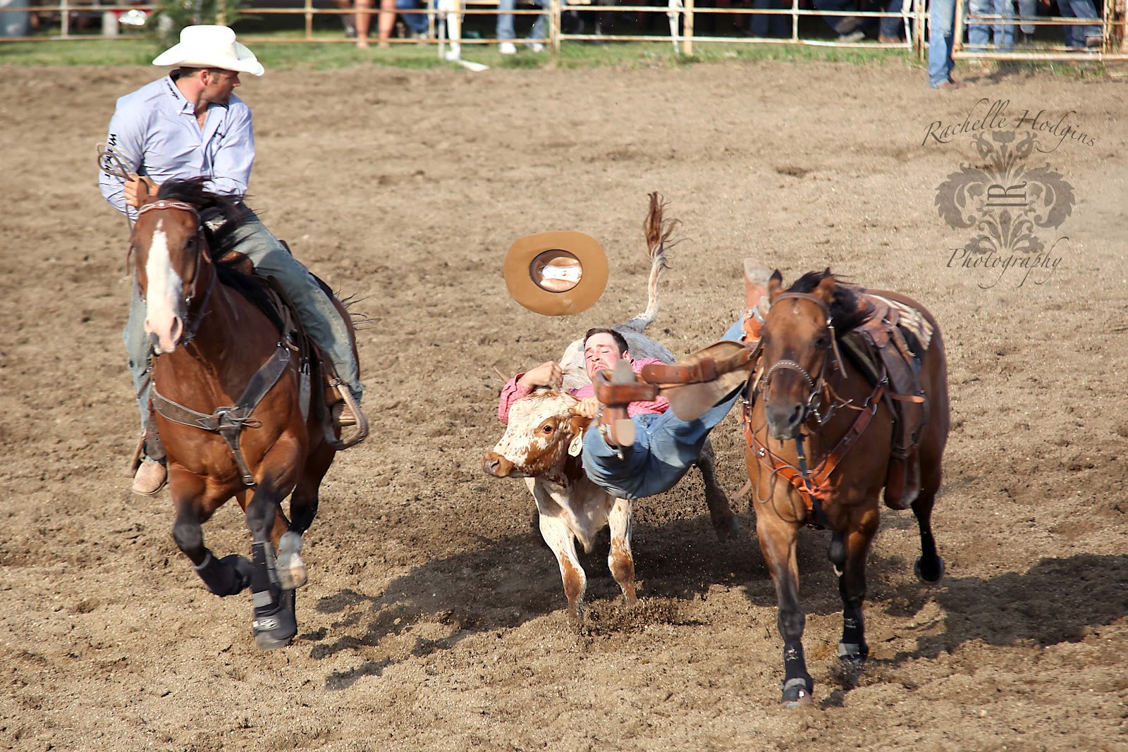 Rachelle Hodgins Photography: Week in Review: Kyle Rodeo!