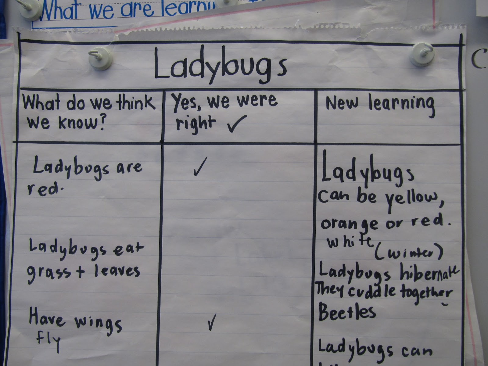 Joyful Learning In KC: Informational Writing