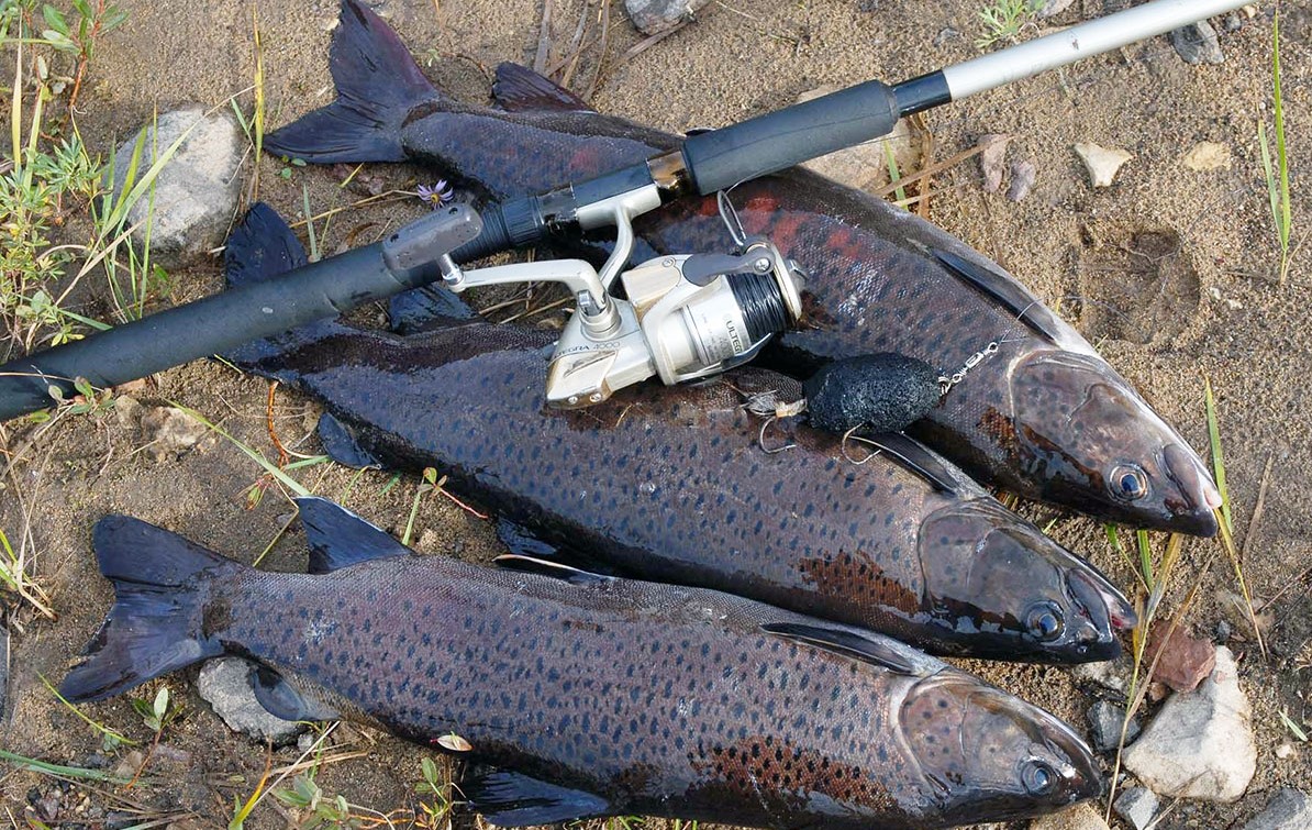 Russia fishing trips