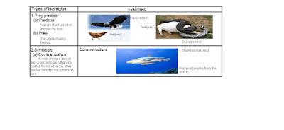 SCIENCE (FORM 2): Chapter 4