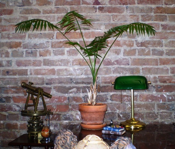 Thoughts That Go Bump in the Night: Thou Plant, Arthur