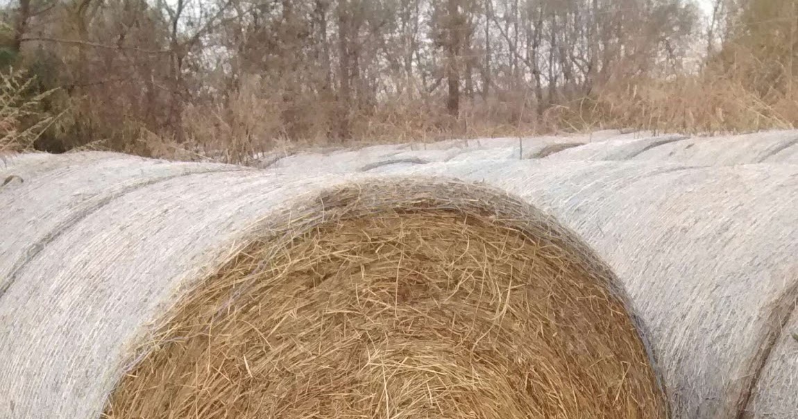 White House Farms Netwrapped Mixed Grass Hay