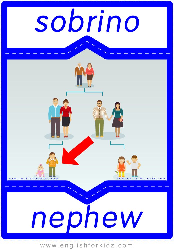 English-Spanish Flashcards: Family Members. Part 3