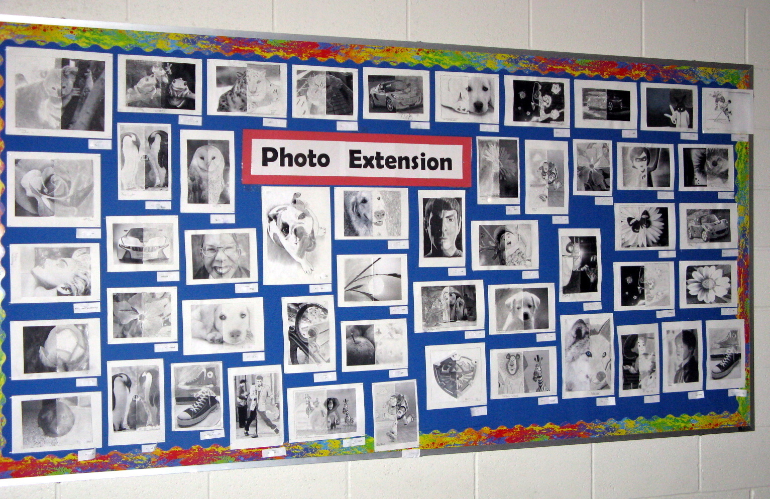 Lewis & Clark Exploratory Art: Art on Display